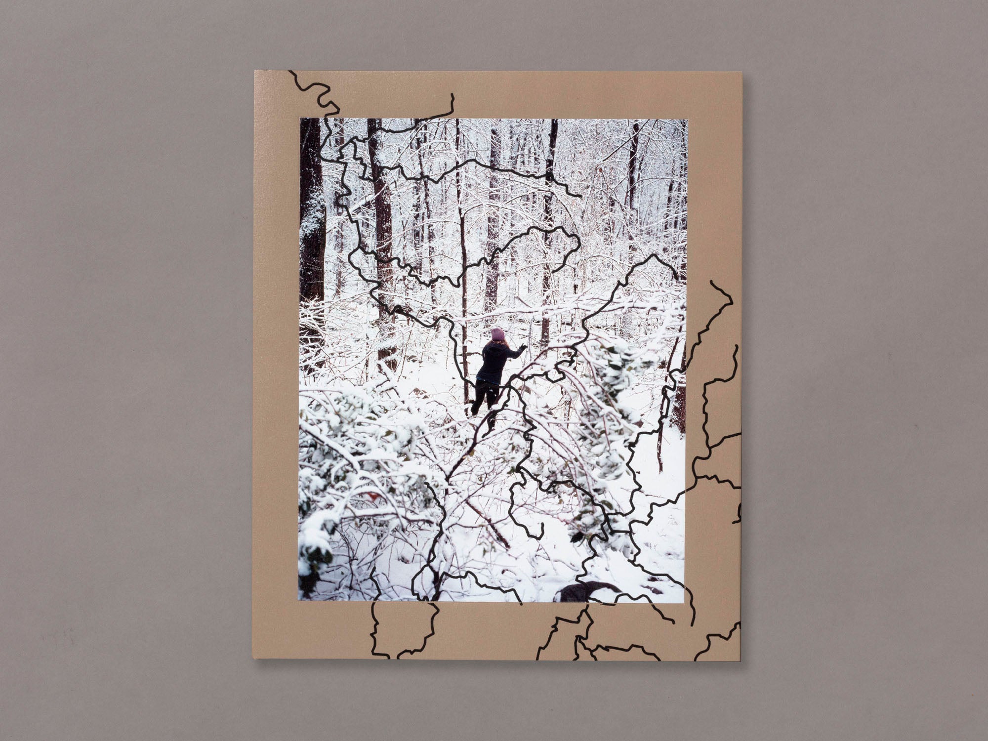 Laurel Mountain Laurel - Jake Reinhart