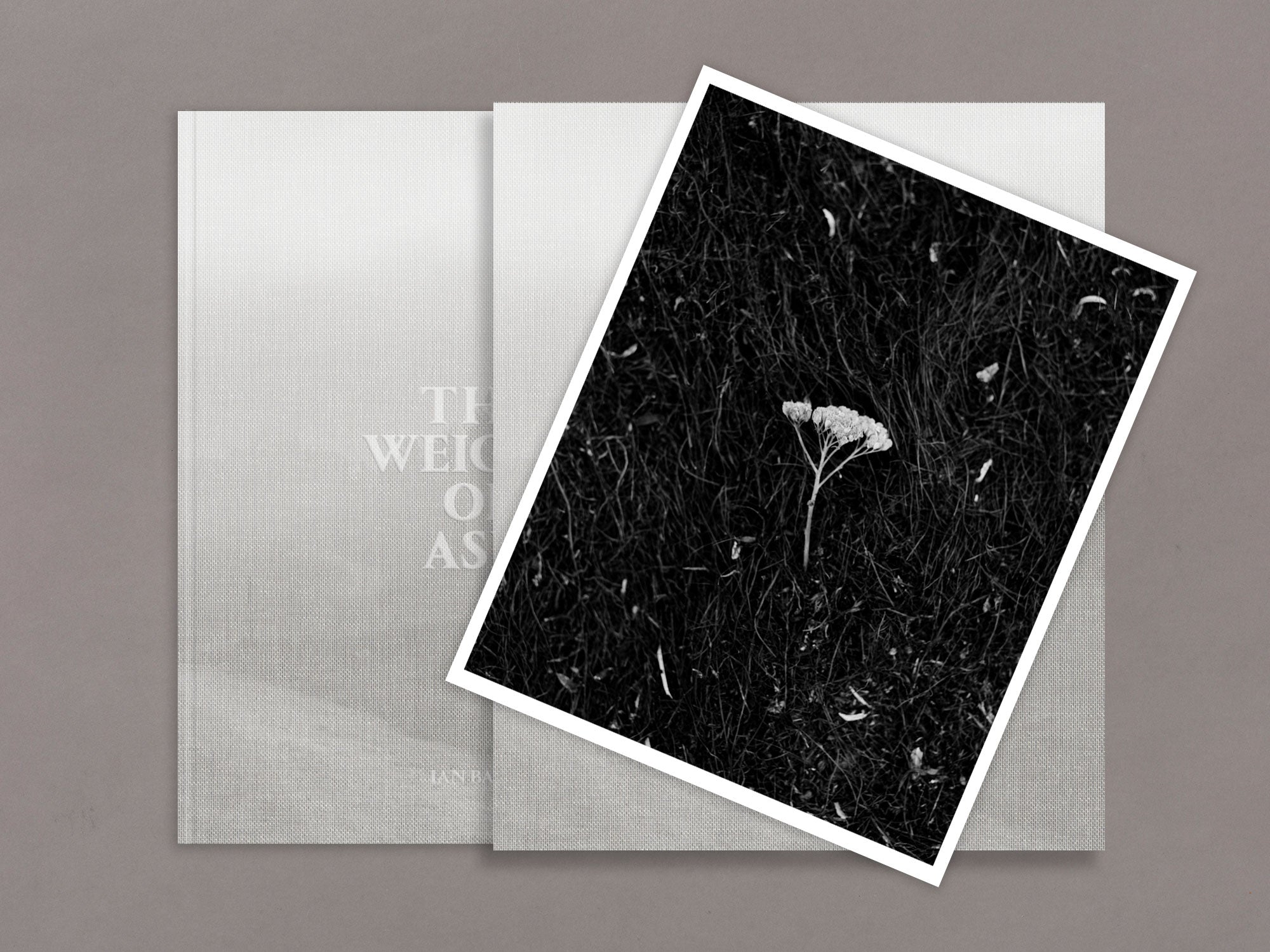 Special Edition / The Weight Of Ash - Ian Bates