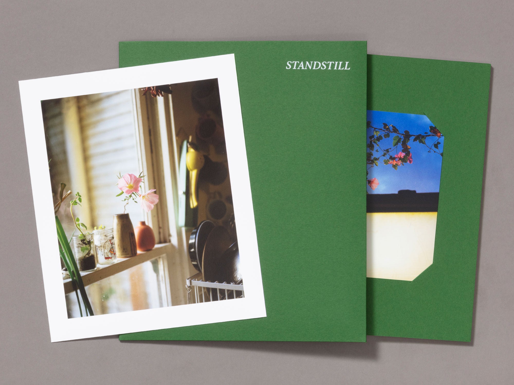 Special Edition / Standstill - Ward Long