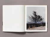 Meadowlark - Ian Bates