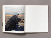 Meadowlark - Ian Bates